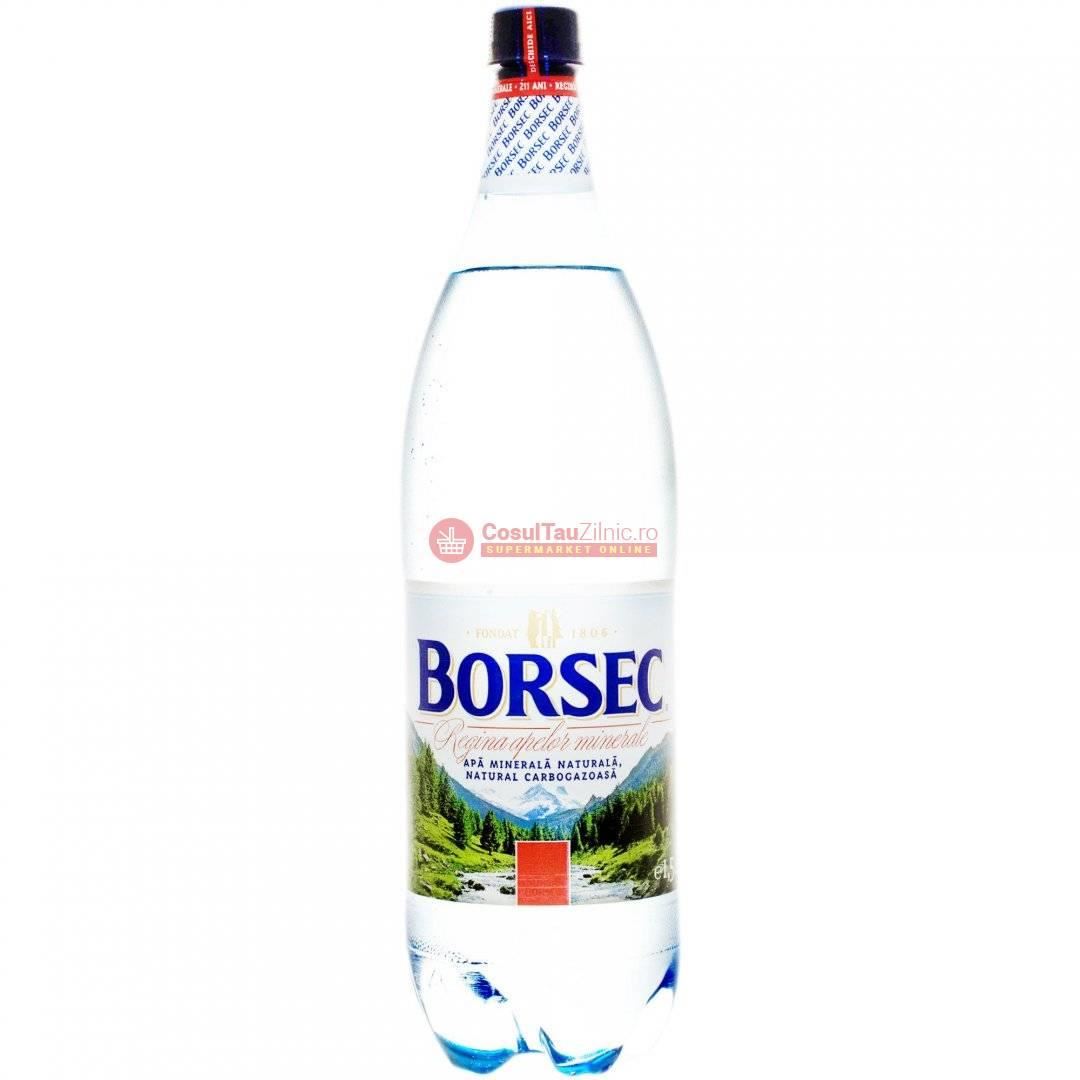 APA MINERALA BORSEC 1.5L (6) - Cosul tau zilnic